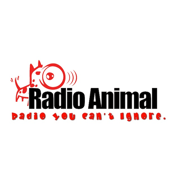 Rob Morris Joins RadioAnimal Consultancy – RadioInsight