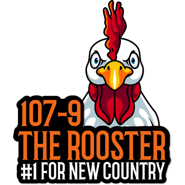 Rooster Lands In Champaign/Urbana - RadioInsight